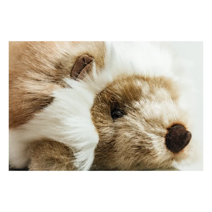 La Pelucherie - My Hedgehog Alfred Soft Toy - Light brown | Smallable