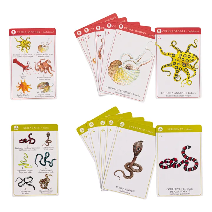 Moulin Roty - Happy Families Game - Species Edition | Smallable