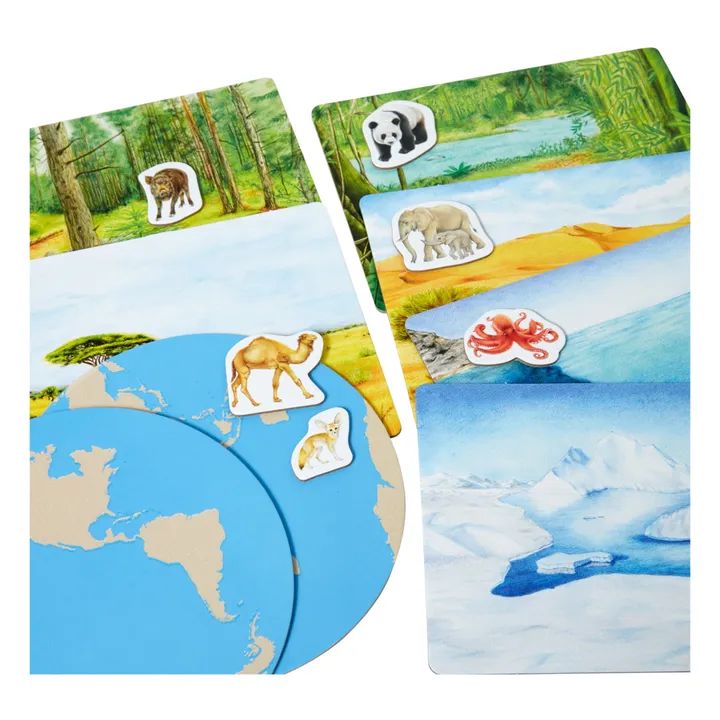Nathan Jeunesse - Montessori-Set: Die Tiere der Welt und ihre ...