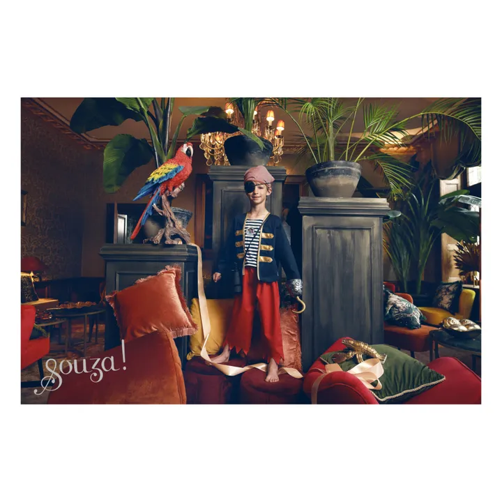 Souza - Robert the Pirate disguise | Smallable