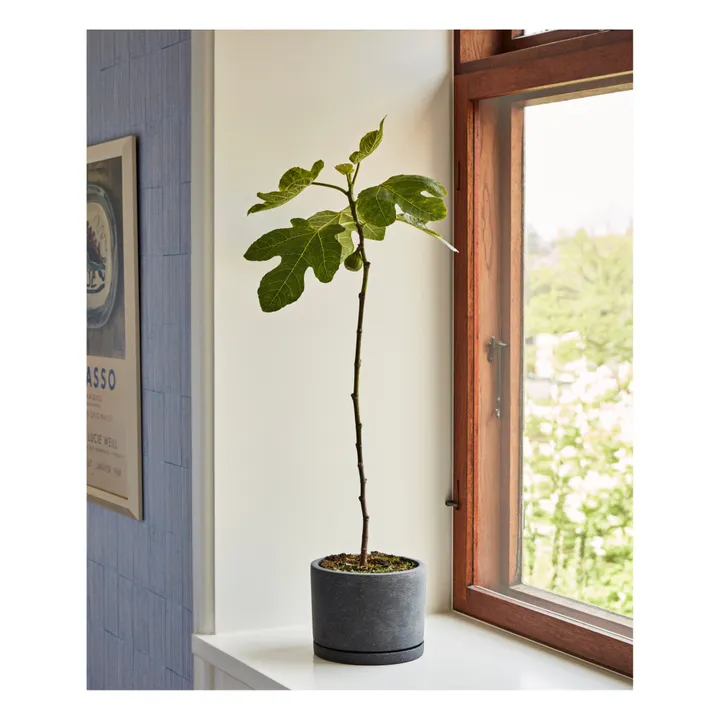 Hay - Cache-pot et soucoupe - Noir | Smallable