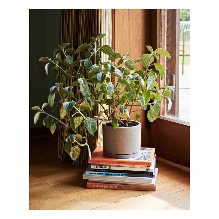 Hay - Cache-pot et soucoupe - Gris clair | Smallable