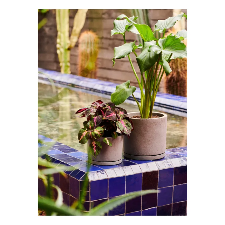 Hay - Cache-pot et soucoupe - Gris clair | Smallable