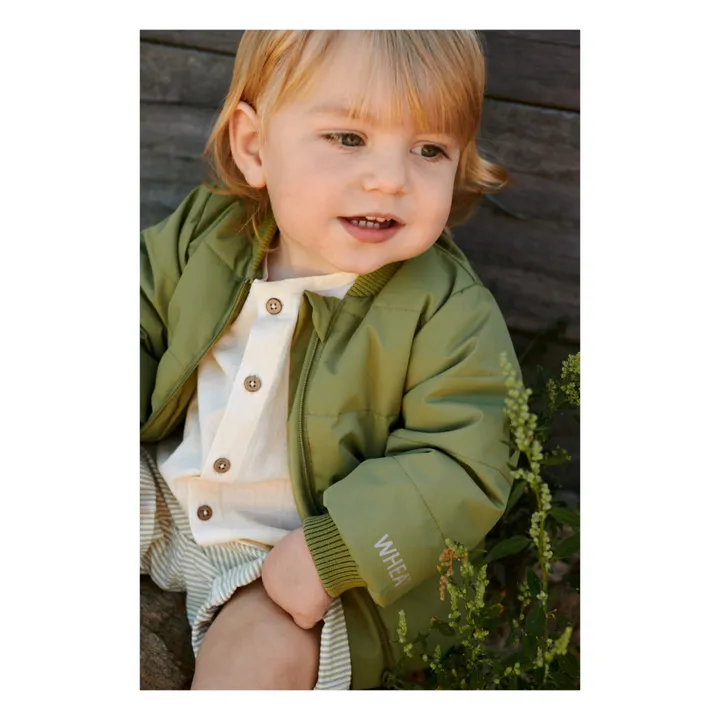 Wheat - Malo Recycled Fibre Baby Quilted Jacket - Green | Smallable